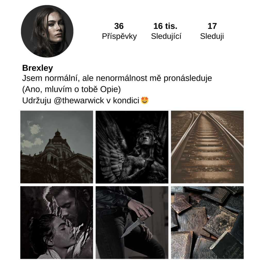 Instagramy hlavních postav – Humbook