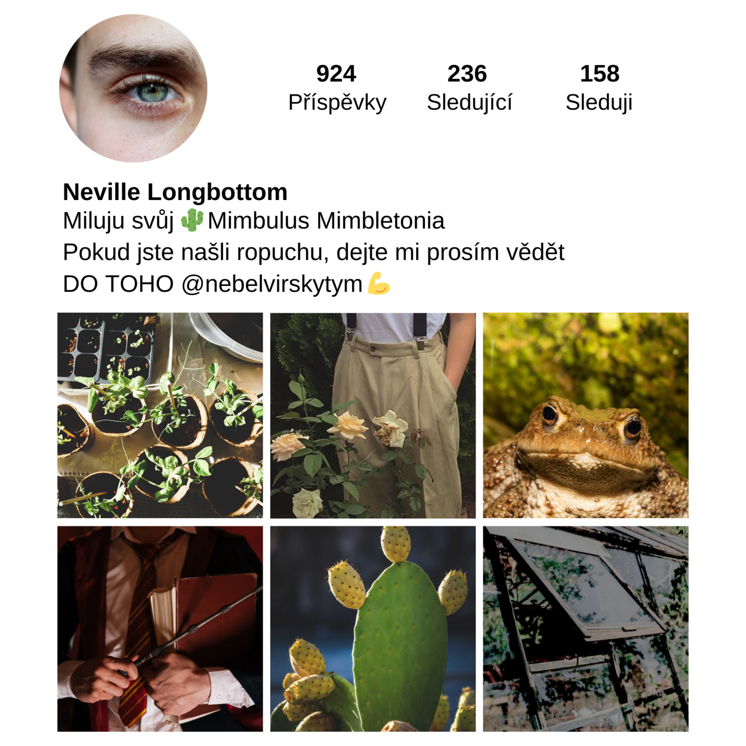 Instagramy hlavních postav – Humbook